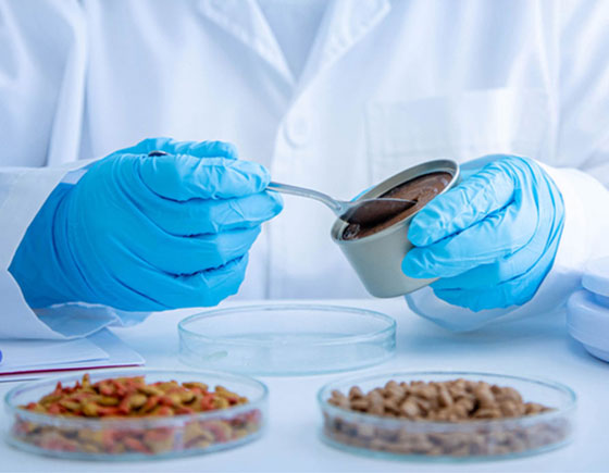 Animal Food & Feeds – Shrient Analytical and Research Lab Pvt Ltd | +91 ...